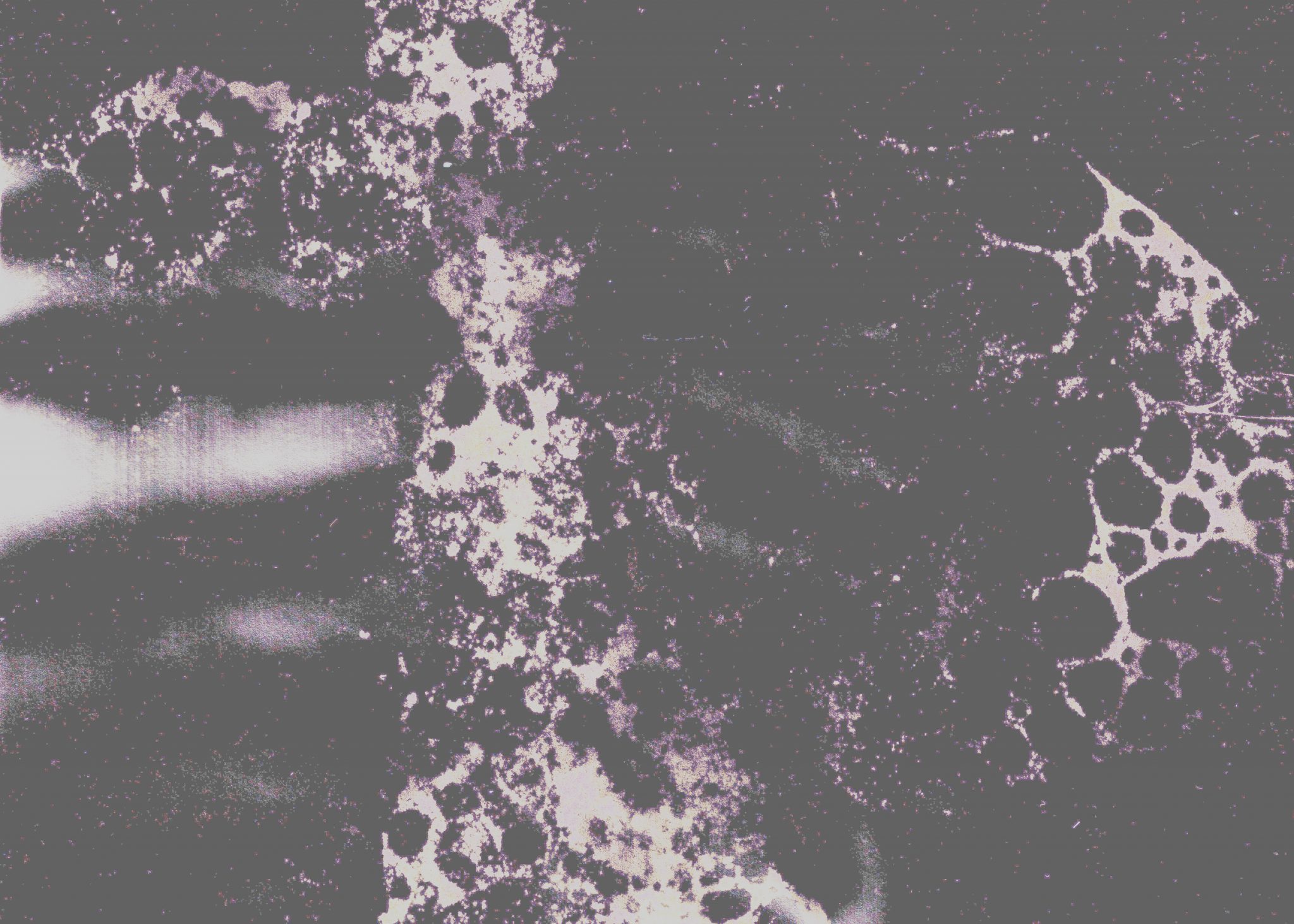 Scattered thoughts on the River Lea | WritersMosaic Magazine