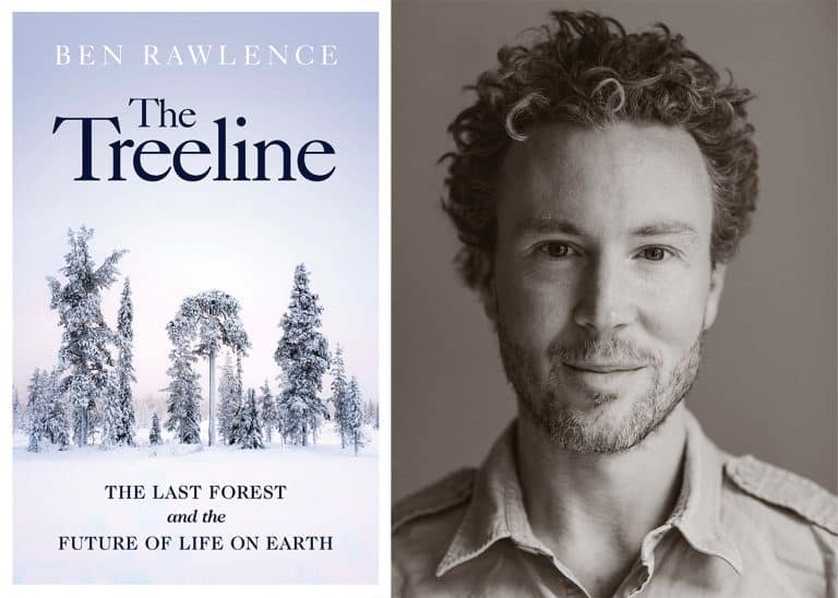 Treeline | WritersMosaic Magazine